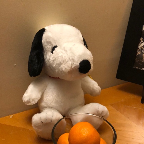 Peanuts | Toys | New Peanuts Snoopy Stuffed Animal | Poshmark